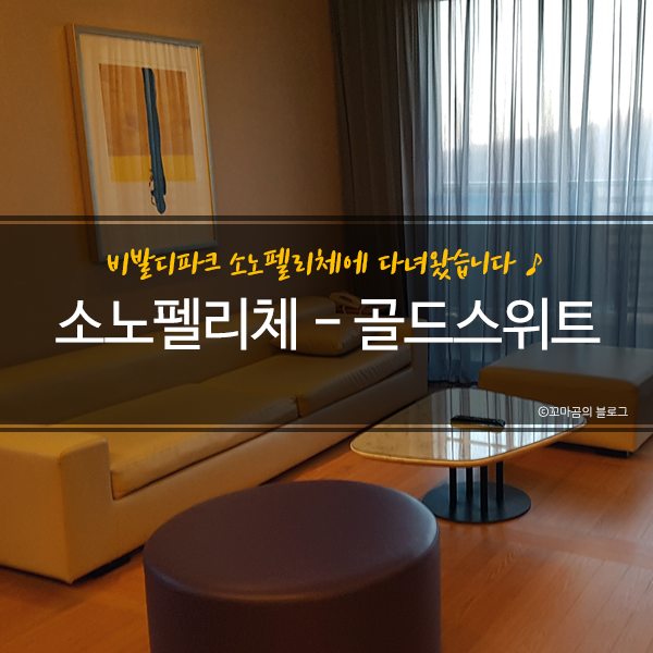 소노펠리체 골드스위트 비발디파크 오션월드 네이버 블로그