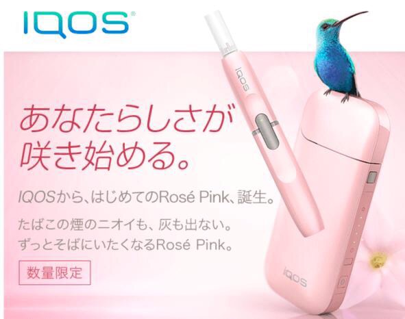[IQOS ROSE PINK]아이코스 핑크 리미티드 에디션 : 네이버 블로그