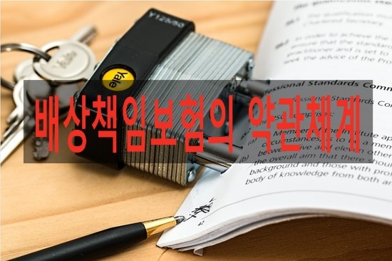 배상책임보험의 약관체계 보통약관의 의미개념 특별약관의 의미개념 추가특별약관의 의미개념 예외적 약관의 체계