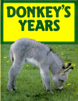 [영어 이디엄] donkey's years : 네이버 블로그