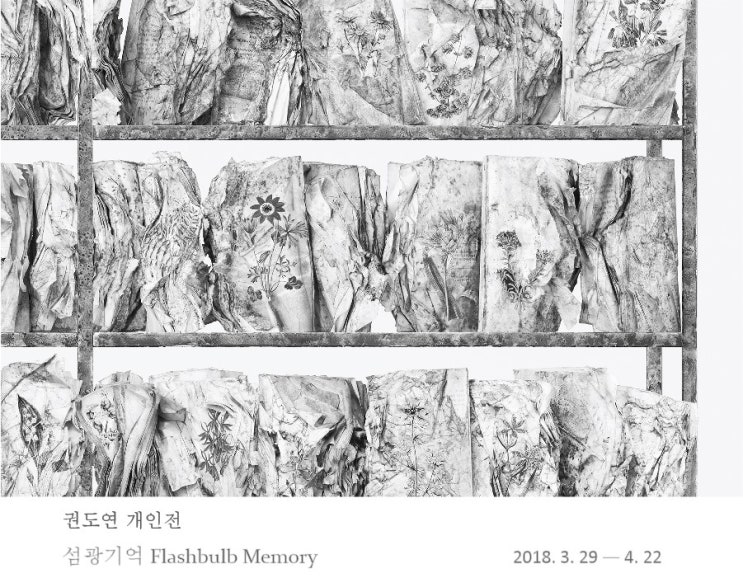 권도연 개인전_섬광기억 Flashbulb Memory : 네이버 블로그