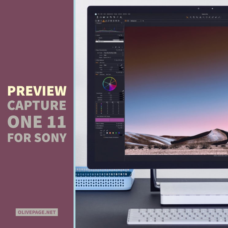 [올페의 프리뷰] 캡쳐원 프로 11 for 소니 (Capture One 11 for Sony) 구입 및 설치 : 네이버 블로그