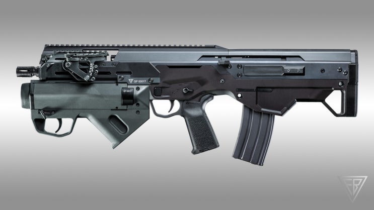 폴란드. MSBS C16 FB-M1 그롯(Glot) 소총 실전배치 : 네이버 블로그