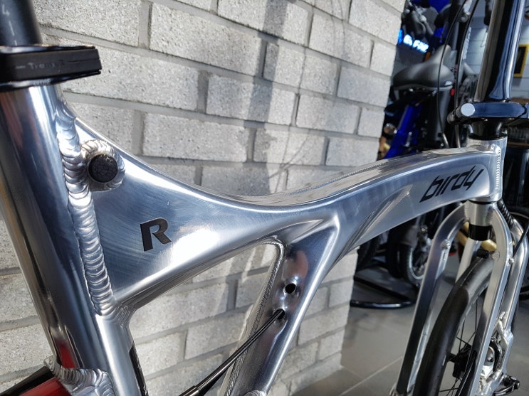 부산자전거 부산버디 뉴버디 R11단 NEW BIRDY R 11SP 버디 버디R 하이폴리쉬 부산 버디 사상 스트라이다 브롬톤 버디 ...