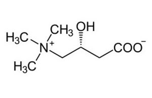 L-carnitine L-카르니틴 근거등급 : 네이버 블로그