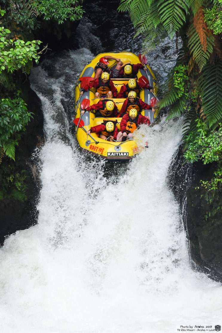 계곡 7m 짜릿한 래프팅 / 뉴질랜드 북섬 로토루아 : 네이버 블로그