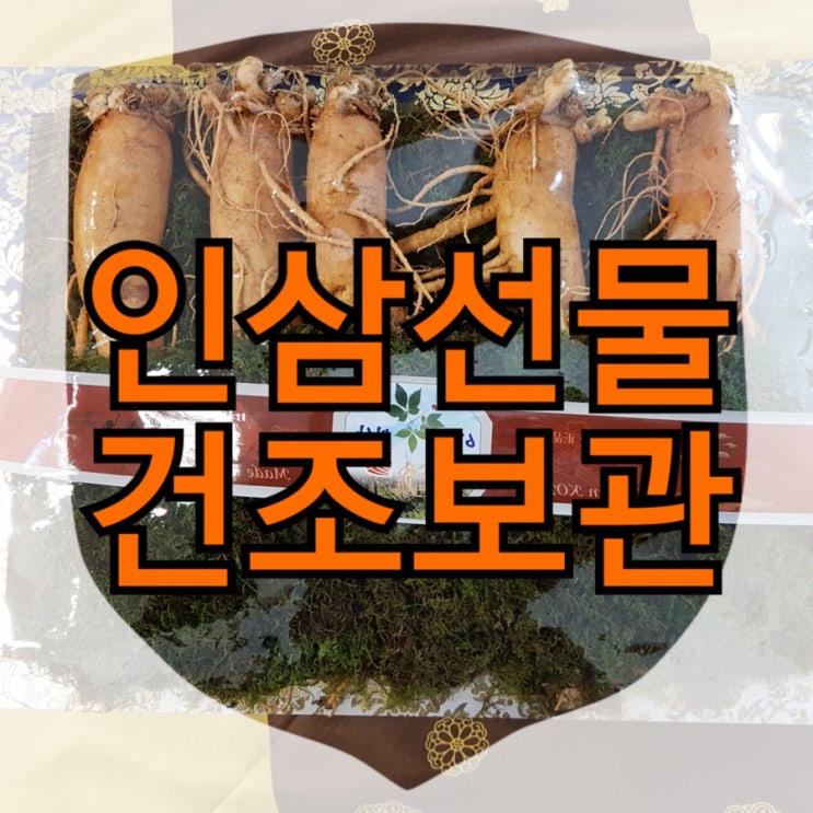 인삼선물셋트 인삼보관방법 건조후 가루보관 네이버 블로그