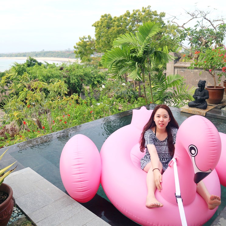 플라밍고 대형 튜브 : 발리 풀빌라에서 생긴 일 : 네이버 블로그