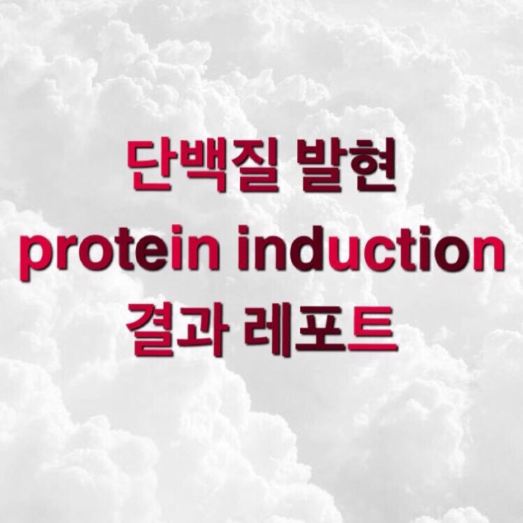 단백질 발현 결과 보고서 protein induction : 네이버 블로그