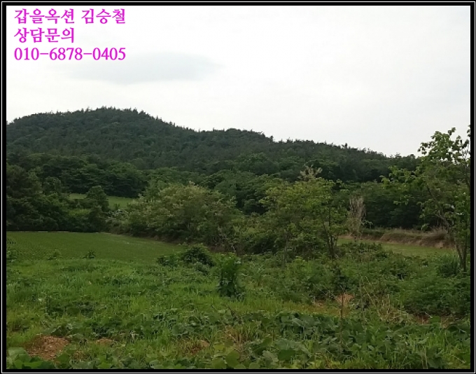 ψ율촌면 토지임야부동산경매2017타경51518 ψ여수시 토지임야경매대행¤전남 여수시 율촌면 가장리 네이버 블로그