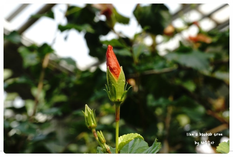 열공성 무증상성 뇌경색(상세불명의 뇌경색증 I63.9)은 뇌질환진단비에 해당한다 : 네이버 블로그