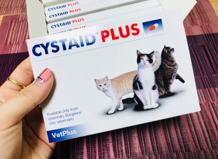 고양이 요로 질환, 방광염 영양제 :: 시스테이드 플러스 (CYSTAID PLUS) : 네이버 블로그