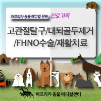 강아지 고관절탈구 대퇴골두제거 FHNO수술 재활치료 진료사례 : 네이버 블로그