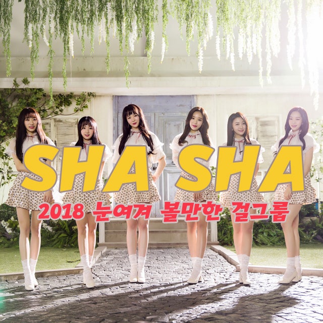 2018 걸그룹 눈여겨볼 만한 팀 '샤샤' : 네이버 블로그