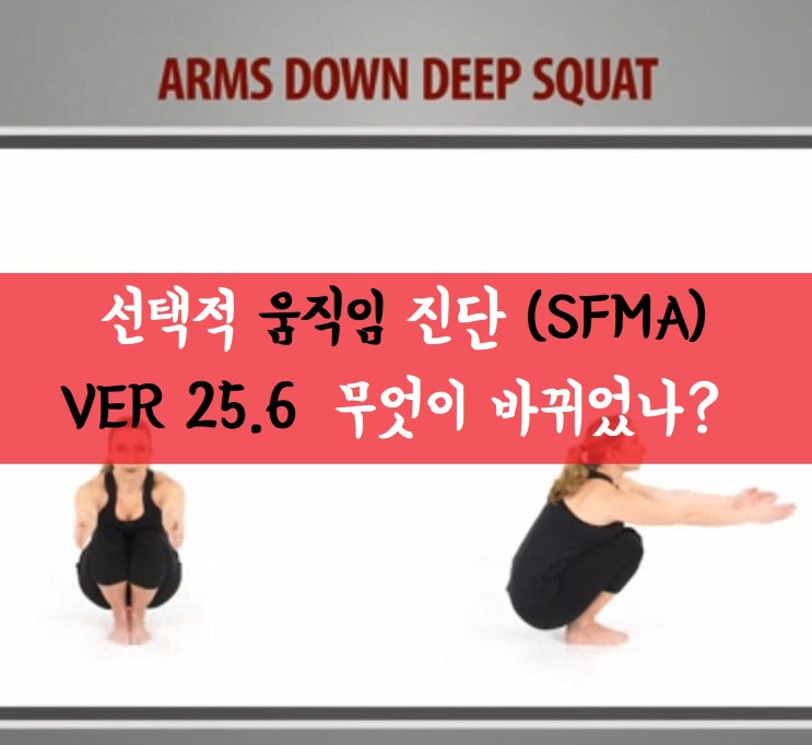 SFMA 선택적 움직인 진단 2018년 무엇이 달라졌나? [서울대입구역 PT 재활] : 네이버 블로그