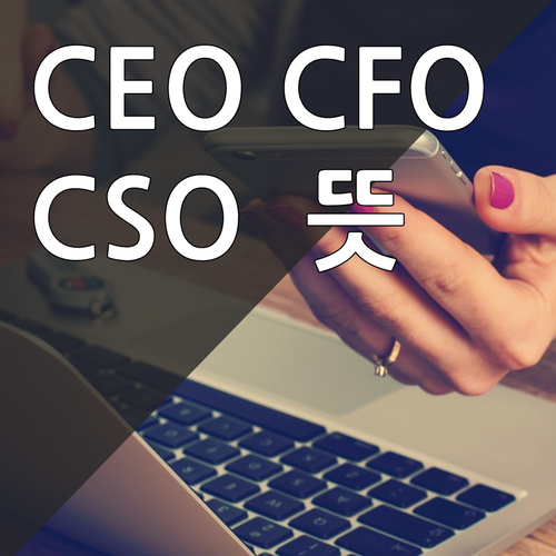 CEO CFO CSO CIO CKO 뜻 사장과 임원 : 네이버 블로그