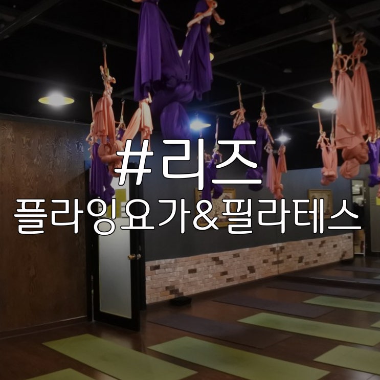 안산 상록수역 요가원 후기 리즈 플라잉요가and필라테스 네이버 블로그
