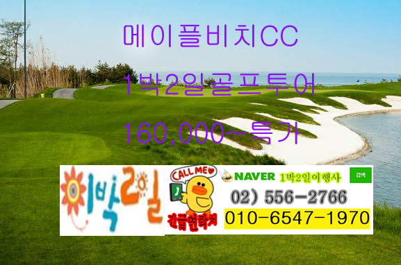 강원도 골프장 메이플비치메이플비치 Cc 1박2일 골프투어 2인 골프 플레이 네이버 블로그