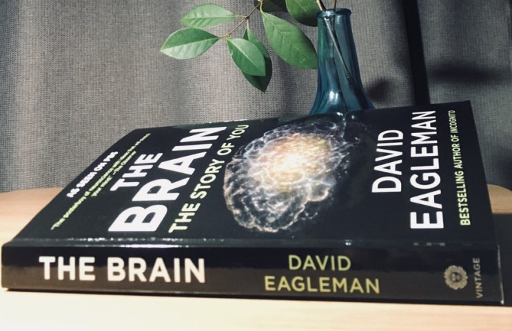 [The Brain: The Story of You] David Eagleman : 네이버 블로그