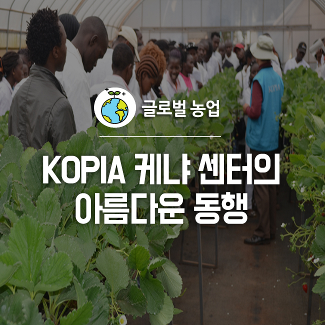 키우고 나누고 함께 자라요! :: KOPIA 케냐 센터의 아름다운 동행 : 네이버 블로그