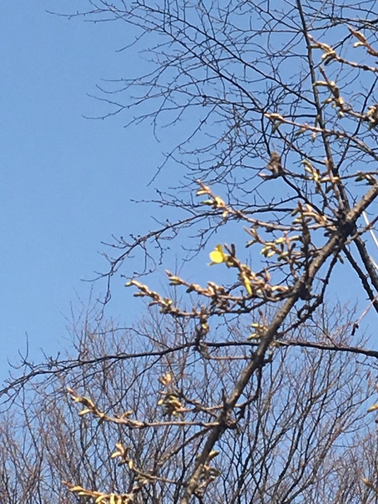 수고하고 무거운 짐진 자들아 All you who are weary and burdened : 네이버 블로그