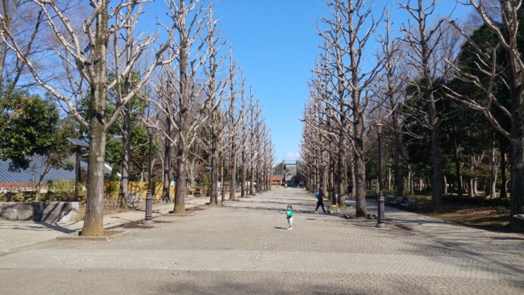 [티나의 日本 생활] 洞峰公園 Doho Park : 네이버 블로그
