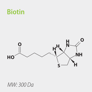 [JenaBioscience] Biotinylated Nucleotide : 네이버 블로그