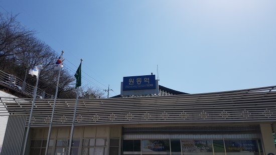 3월17일 원동매화축제 : 네이버 블로그