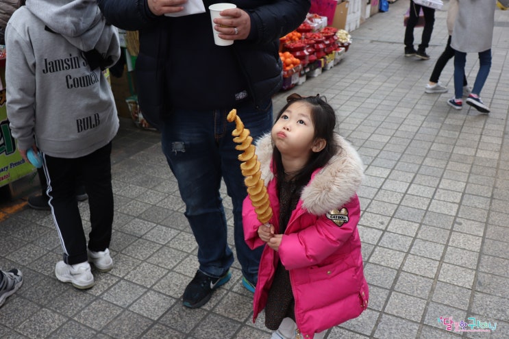 속초중앙시장 먹거리 구경거리 간식으로 한 끼 해결하기 : 네이버 블로그