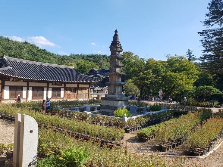 공주시 공주 여행 마곡사 세계문화유산 마곡사 ★ 백범김구선생의 은닉 사찰을 가다 네이버 블로그