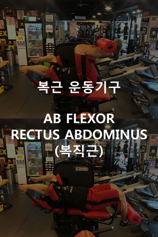 호수공원 헬스장 :: AB FLEXOR (복근운동기구) : 네이버 블로그