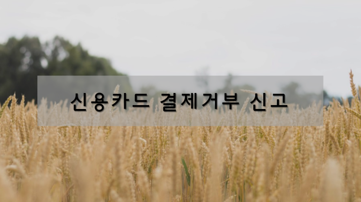 우주세무회계사무소 백진영 세무사 신용카드 결제거부 신고 신용카드 위장가맹점 신고 네이버 블로그