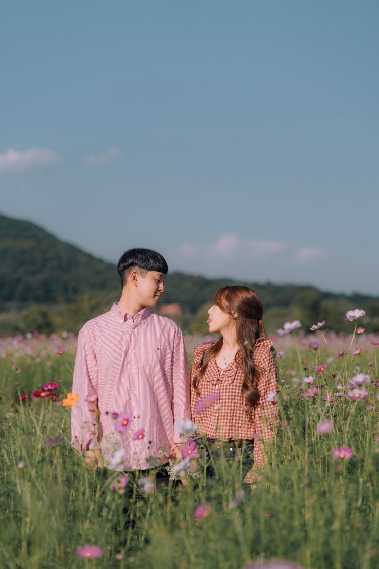 봄브리즈 스냅 메밀꽃코스모스 핀 여주 당남리섬에서 커플스냅 네이버 블로그