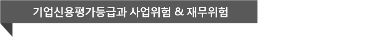 기업신용평가등급과 사업위험and재무위험 네이버 블로그