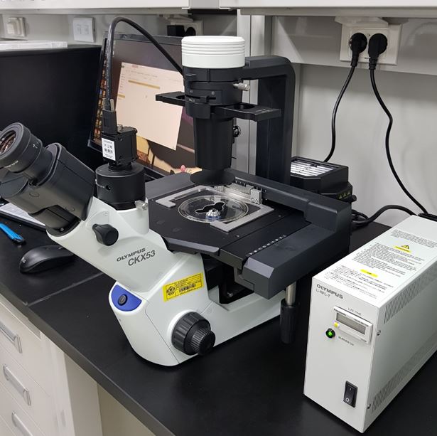 올림푸스 위상차 형광 도립현미경 CKX53 : 네이버 블로그