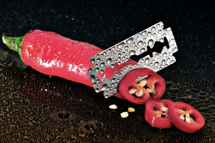 오컴의 면도날?.. Ockam’s razor : 네이버 블로그