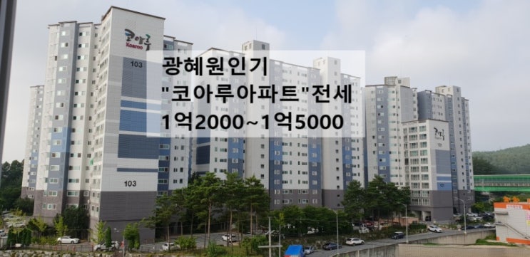 진천광혜원 코아루아파트 전세1억5000 깨끗해요 네이버 블로그