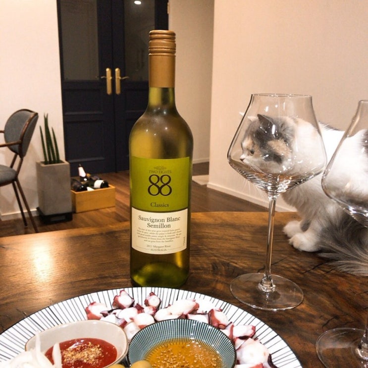 화이트 와인 추천 - Two Eights Sauvignon Blanc Semillon 2011 (투 에잇츠 쇼비뇽블랑 세미용 ...