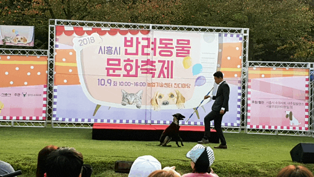 시흥가볼만한곳 시흥시반려동물 문화축제 귀요미들! : 네이버 블로그