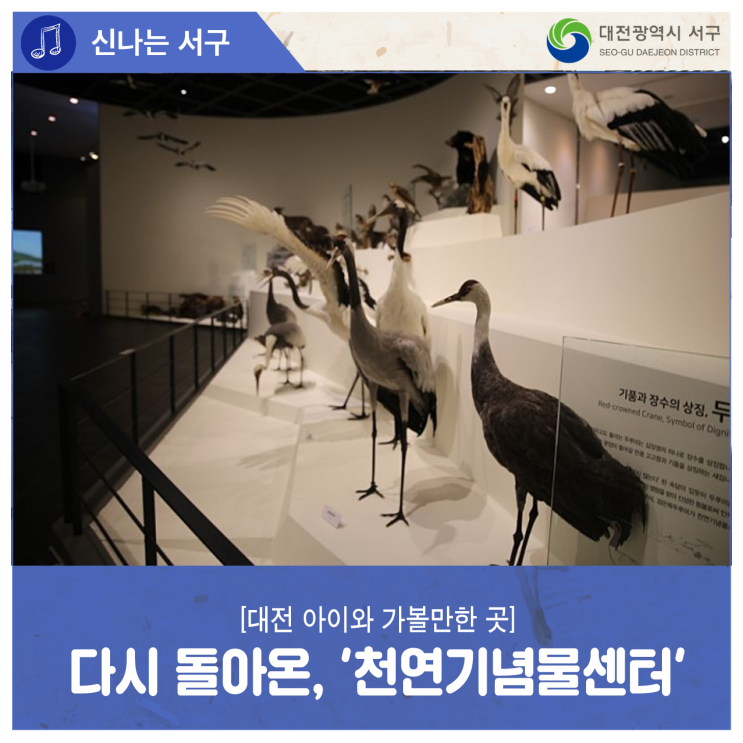 대전 아이와 가볼만한 곳 다시 돌아온 천연기념물센터 네이버 블로그