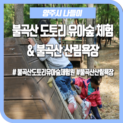 가을 서울 근교 나들이 아이들과 즐기기 양주 불곡산 도토리 유아숲 체험원 네이버 블로그