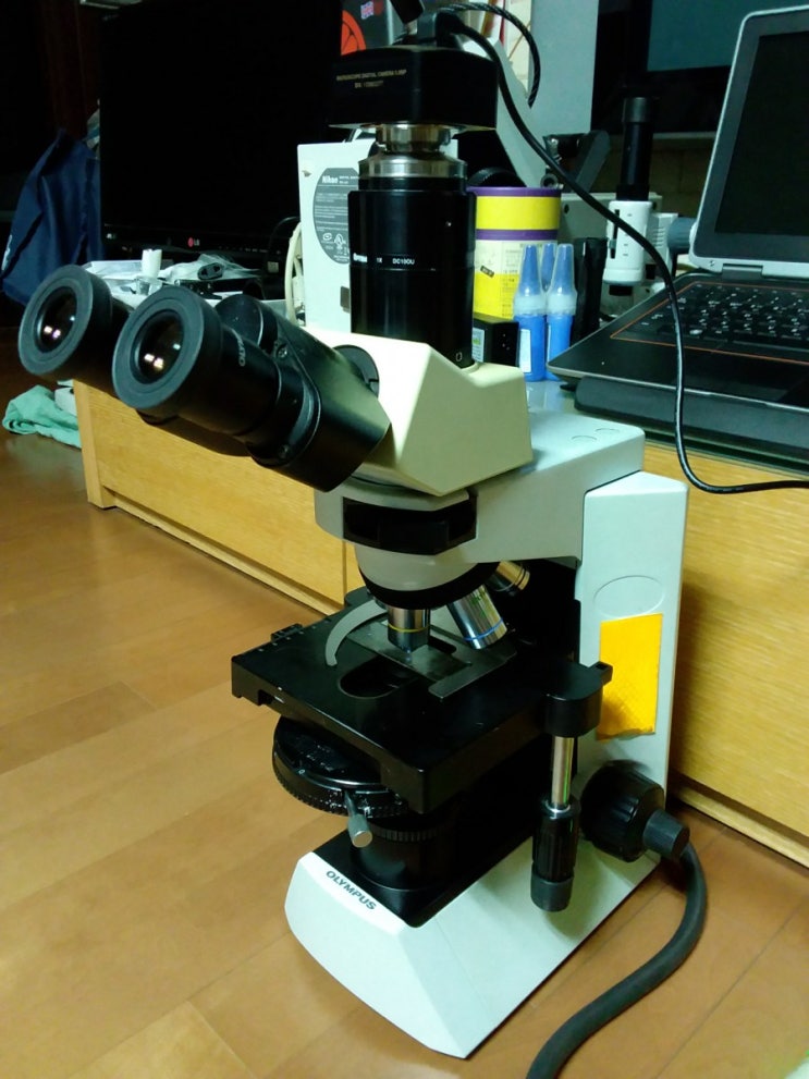 위상차현미경-OLYMPUS CX41 PHASE MICROSCOPE : 네이버 블로그