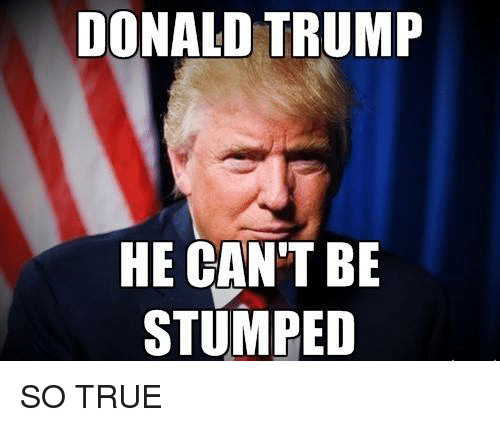 (오늘의 영어단어) stump, be stumped : 네이버 블로그