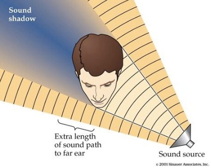 sound localization, lateralization, coding 등의 용어 의미가 명확하지 않아요. : 네이버 블로그
