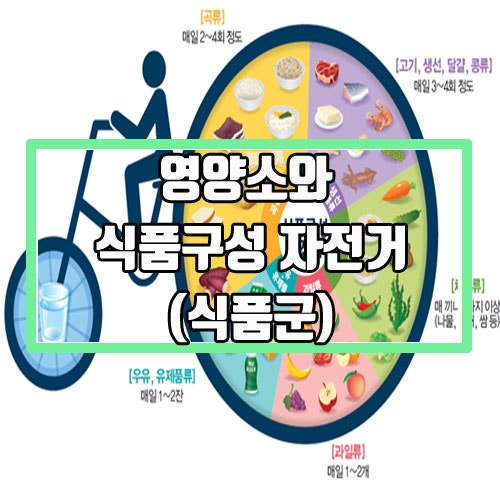 영양소와 식품구성자전거식품군 네이버 블로그