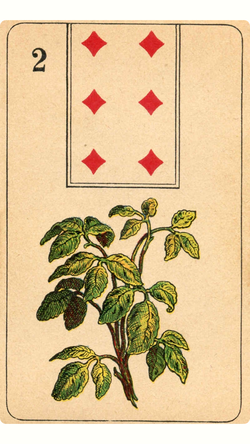 [레노먼드] 2. Clover(클로버) : 네이버 블로그