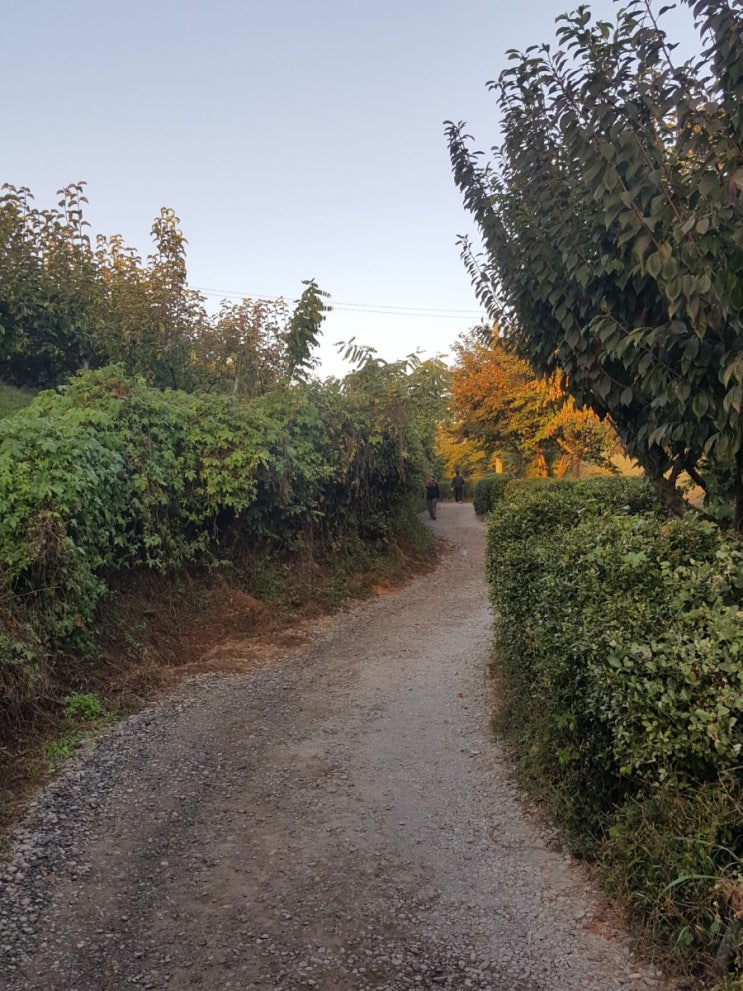 진주에나길 트래킹, 남강초~선학산~비봉산 : 네이버 블로그