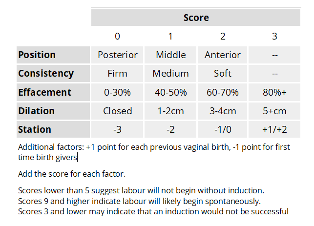 bishop score (비숍스코어) : 유도분만 가능 유무 사정도구 : 네이버 블로그