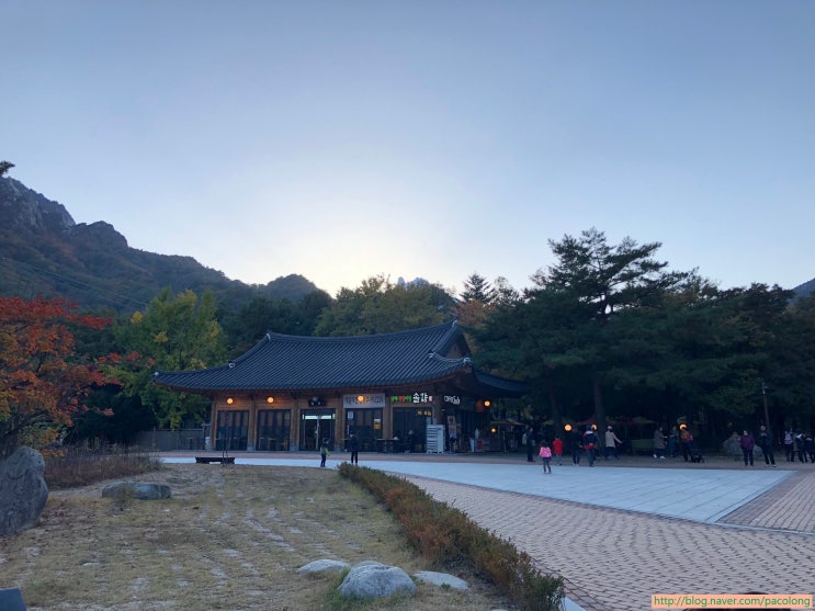 설악산 설악산 맛집 한화리조트 설악 쏘라노 맛집해물파전 막걸리 마늘빵 황태해장국 닭강정 단풍빵 맛집 네이버 블로그