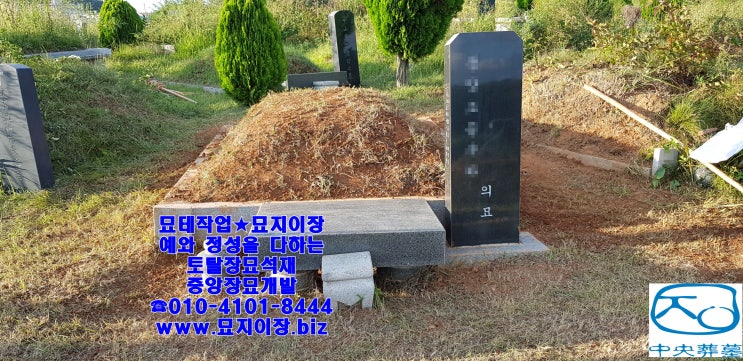 일산 묘지 이장 고양시 일산동구 식사동 식사동 시립묘지 내 산소이장 공동묘지이장 벽제 화장장서울시 시립승화원 화장 예약
